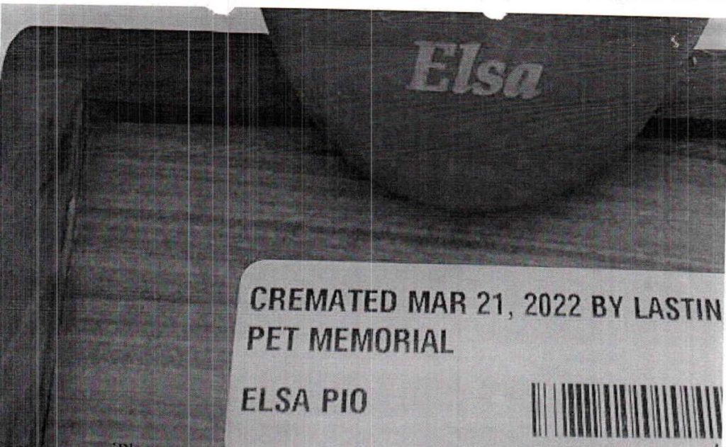 Our Pawrade Puppy Died - Stop Online Puppy Mills